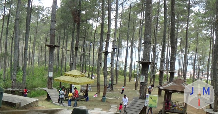 Wisata hutan pinus sumbang PAD Rp700 juta | JURNAL MEDIA Indonesia