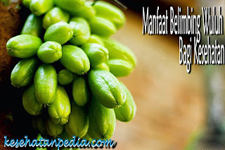 Manfaat Buah Belimbing Wuluh untuk Kesehatan dan Kecantikan - kesehatanpedia