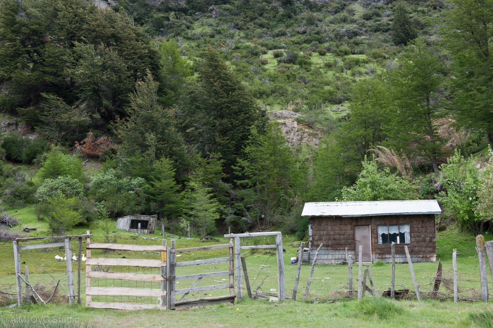 The Spotting Eye: Rural Chile: Río Murta at Dos Hermanos, XI Región ...