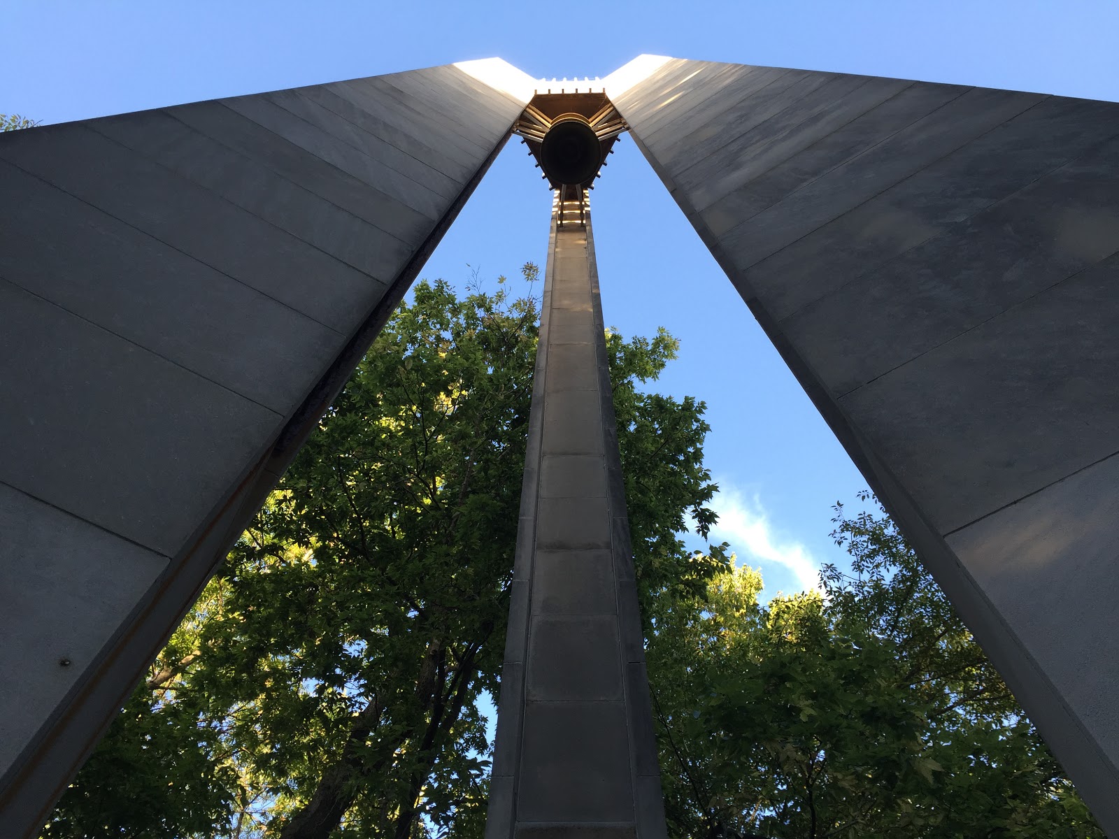 Beautiful Pinus strobus 'Pendula' at Butler University [Backyard ...