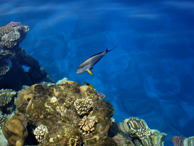 20 curiosidades sobre Kenia (que tal vez no sepas). Quiero Ver Mundo