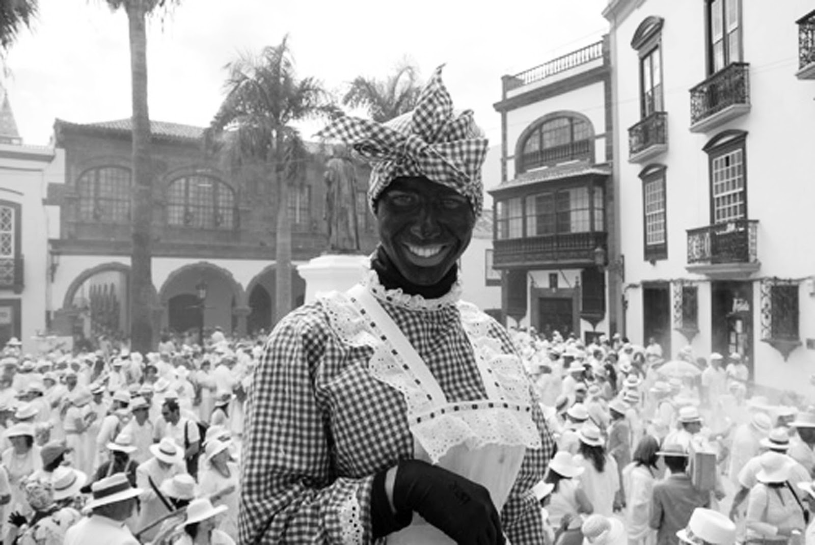 Informacoes Sobre Papagaio Indiano