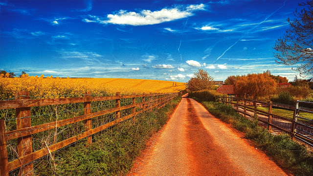 Mississippi Summer Scenery - High Definition Wallpapers - HD wallpapers