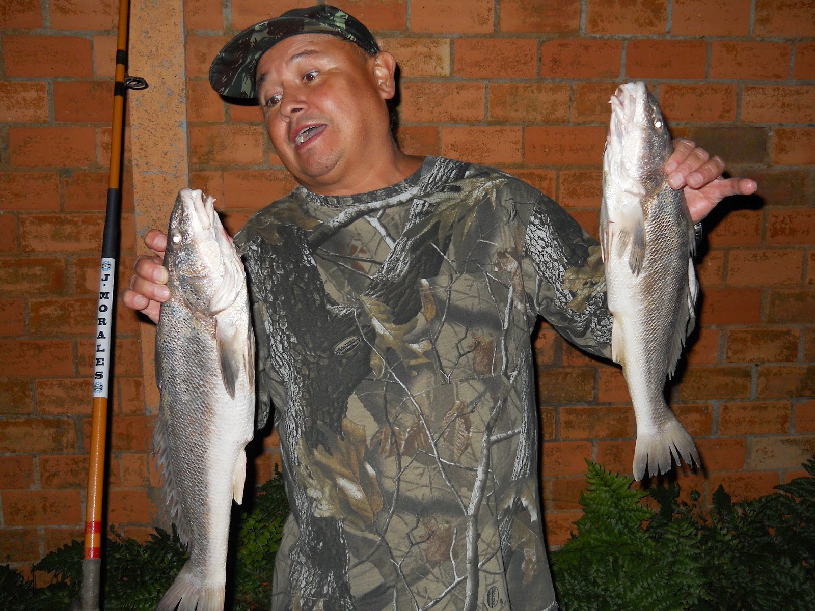 Aventuras do Jairinho: A Pesca do Papa Terra Gigante