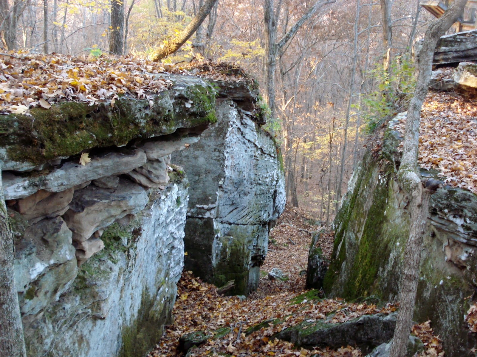 Experiencing Illinois: Millstone Bluff