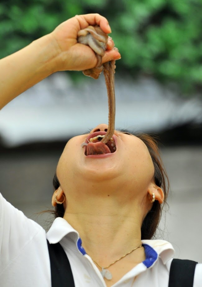WEIRD!!! KOREANS EATING LIVE OCTOPUS - Lifestyle Pen