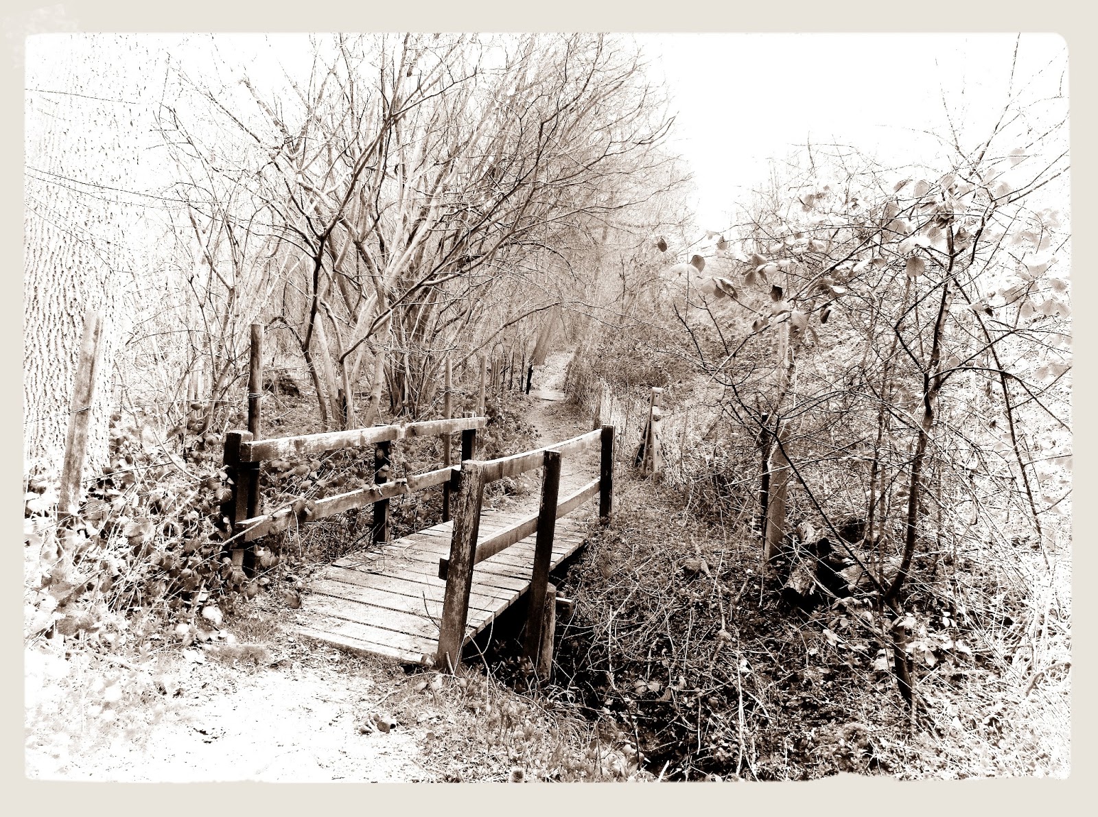 Walking with Henry David Thoreau in mind and a "prayer" of Heidegger's ...