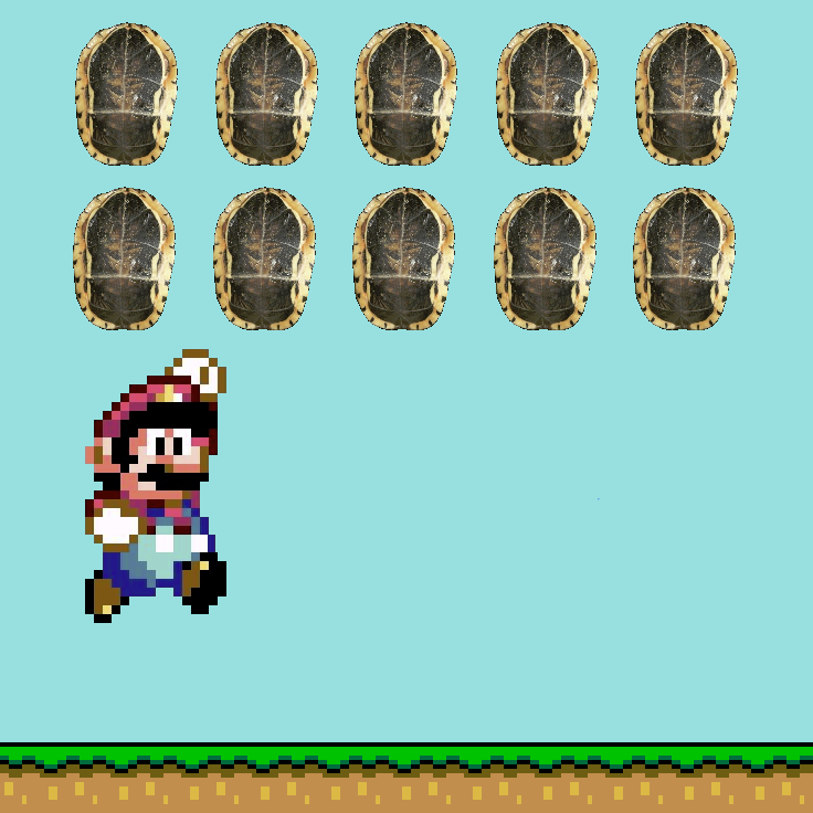 KoopaTV: Happy World Turtle Day!