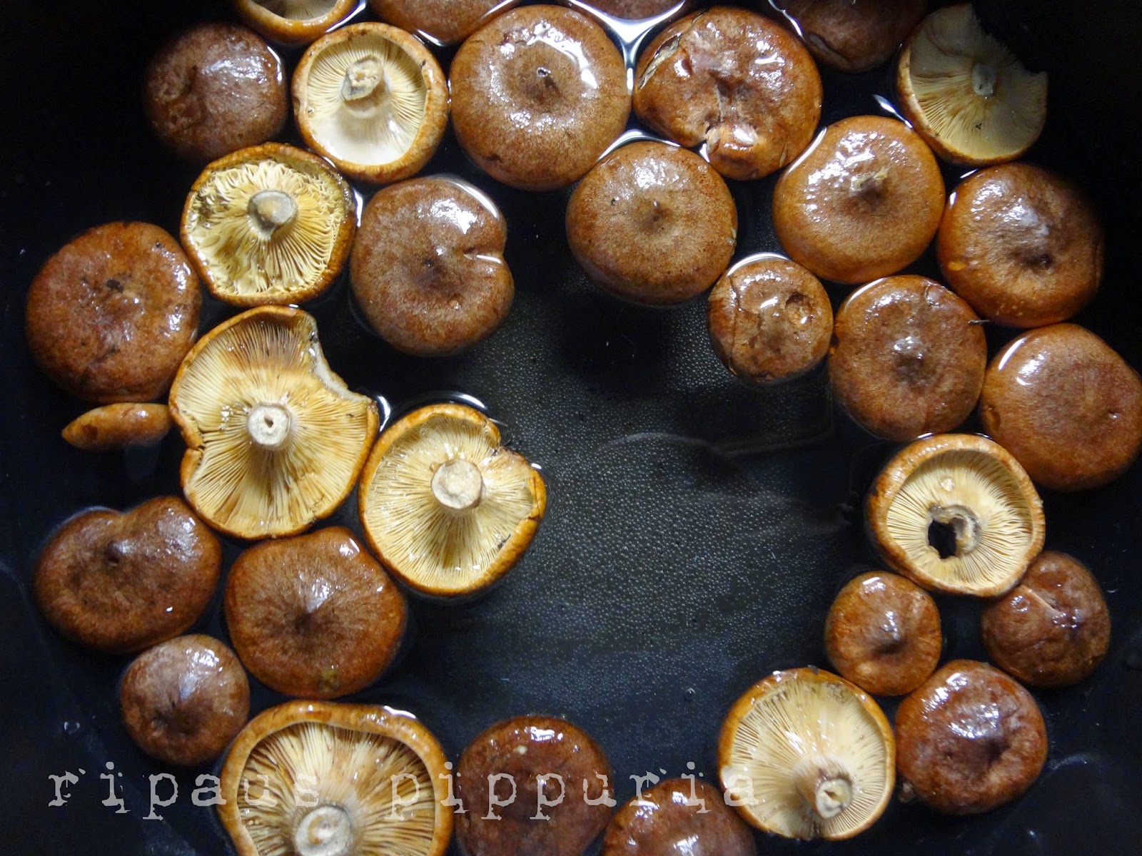 Ja vielä ripaus pippuria...: Kaneliset nappirouskut