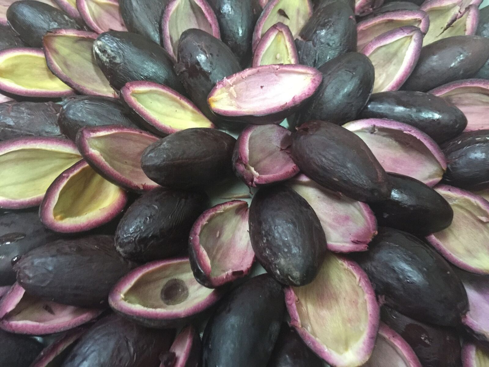 Bà Bán Phở : Diệu kỳ các món ăn từ quả Trám