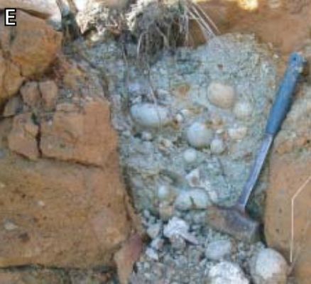 Disaster-wise: Weaubleau's Round Rocks