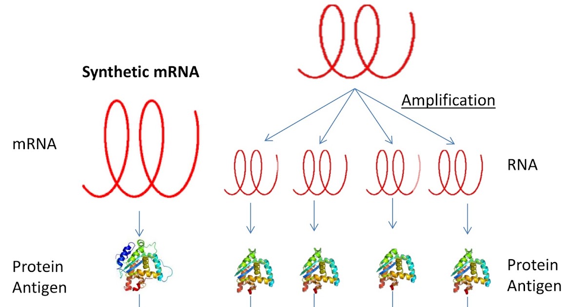 Dr John Tregoning: Academic, Author: Self-Amplifying RNA Vaccines Give ...