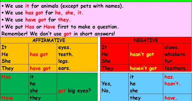 My English Kit: Have got