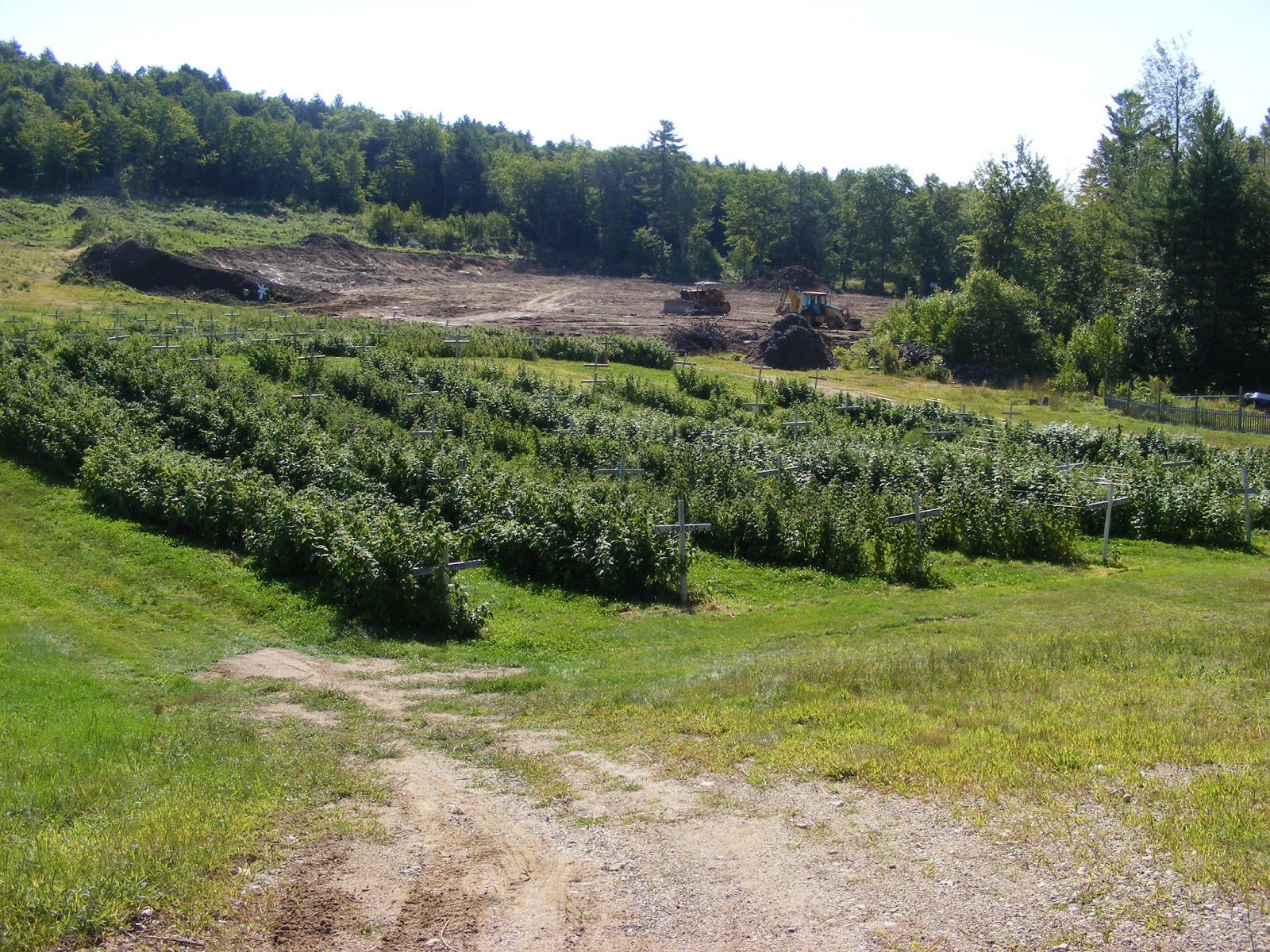 RuthinianGregoire: The Gregoires went picking