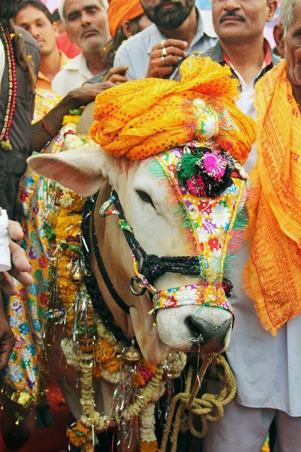 The wedding took two months to organise and invitations were sent to ...