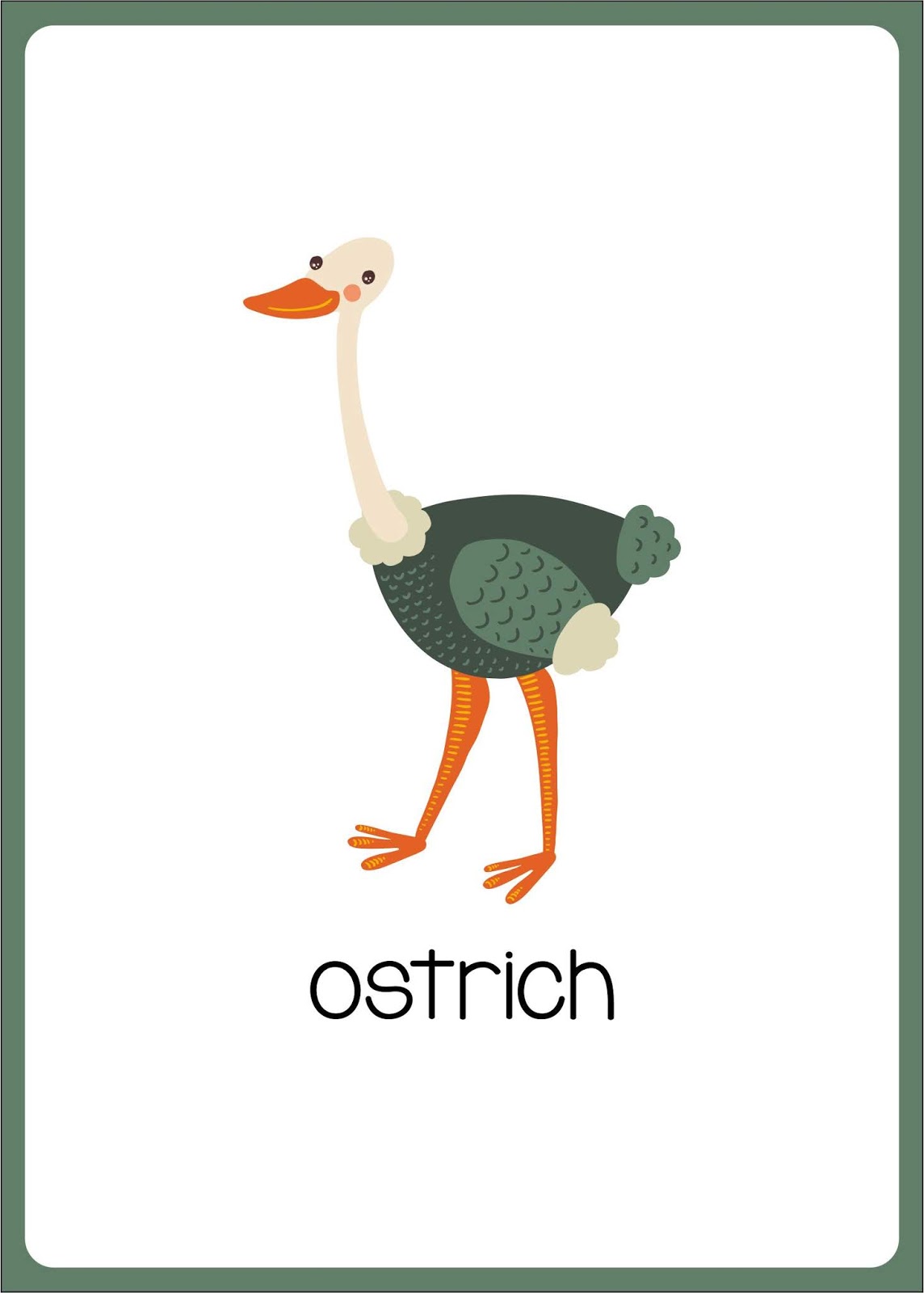 ANIMAL FLASHCARDS - BABY FIRST WORDS