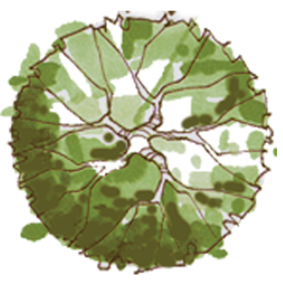 Architecture School Tips: Site Plan - TREES | Tree plan photoshop, Tree ...