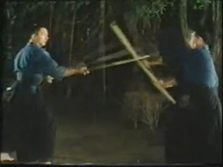 Why the Naginata (Glaive) is Different to the Yari (Spear)