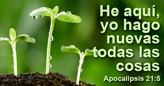 Apocalipsis 21:5 - Comparte La Biblia - Versículos Bíblicos