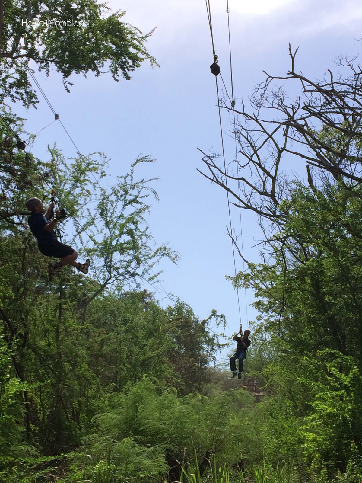 Hawaii Mom Blog: Coral Crater Adventure Park - Opens December 3
