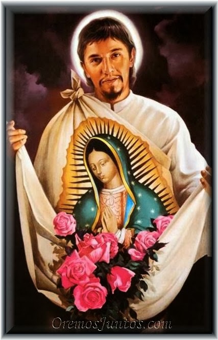 ® Blog Católico Gotitas Espirituales ®: LA TILMA DE JUAN DIEGO