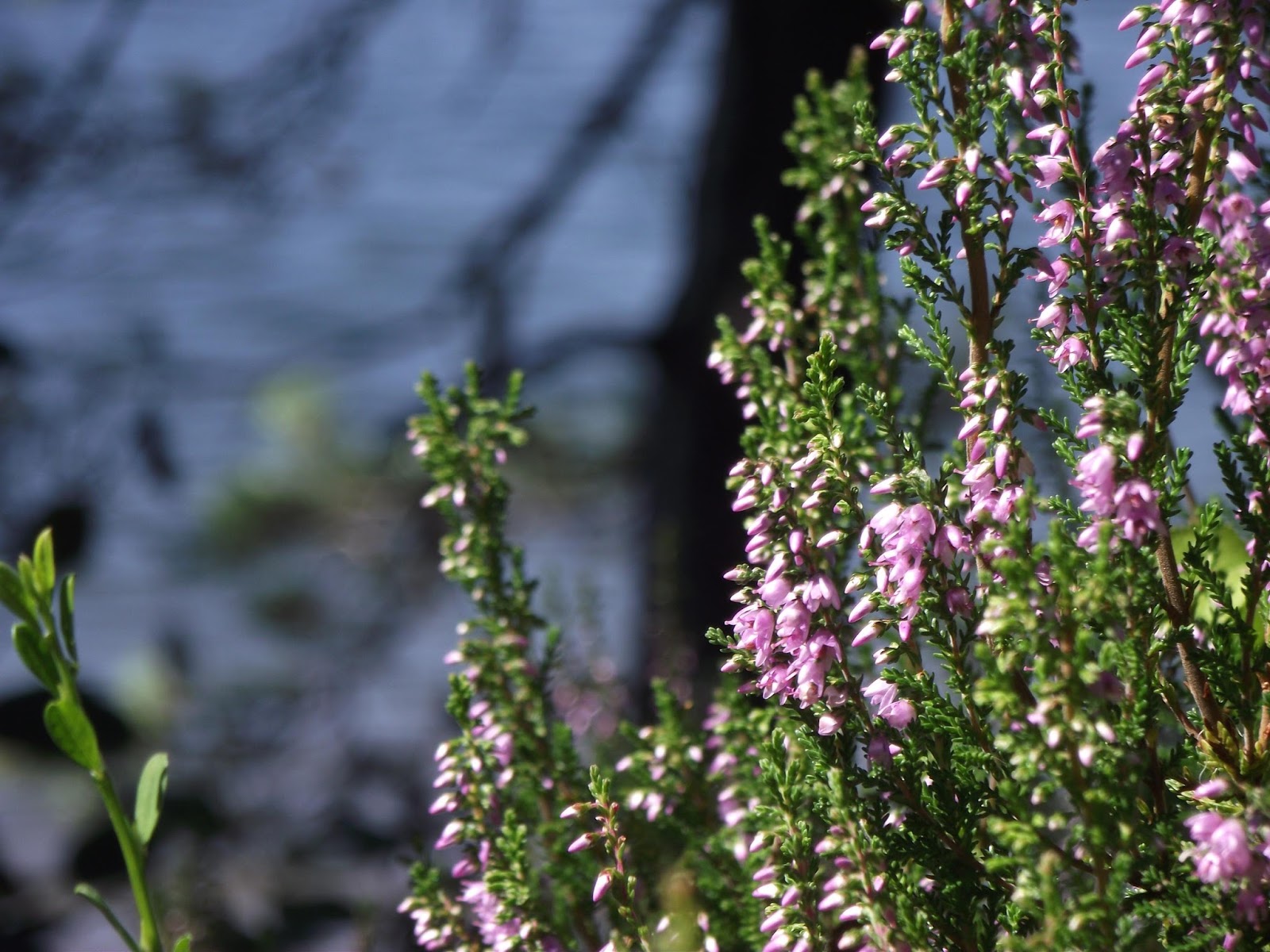 Nalou's in the air: Lac de Pierre Percée, évasion au coeur des Vosges