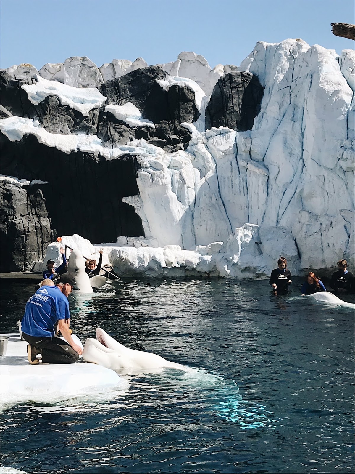 San Diego Photo Diary (SeaWorld & Beach) - The Trendy Chick