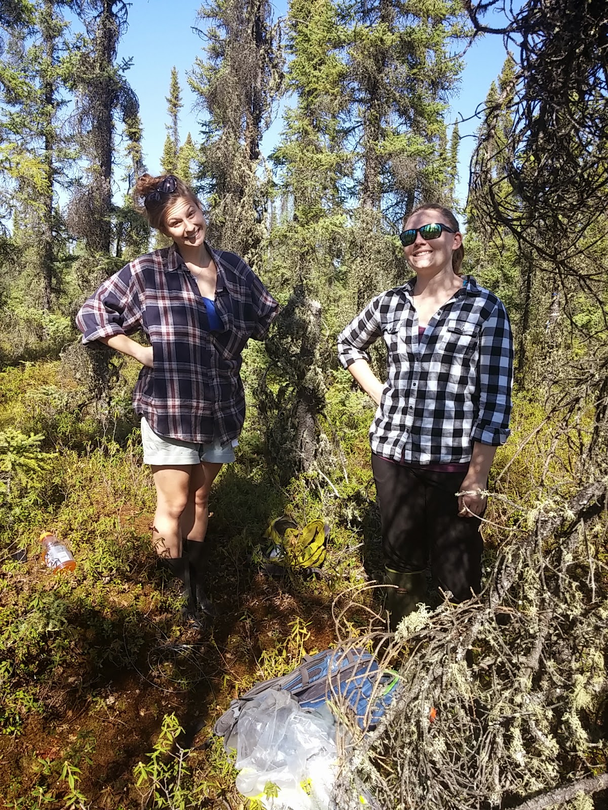 The 55th Parallel: Pictures 2015