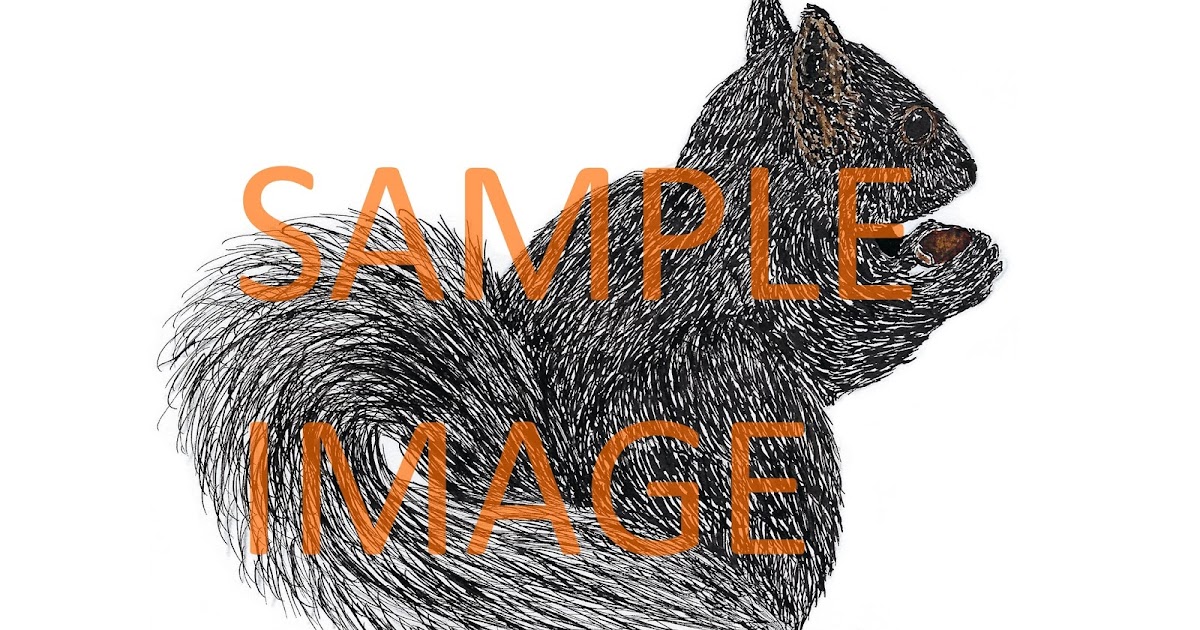 Susan Buffum- Author: Art