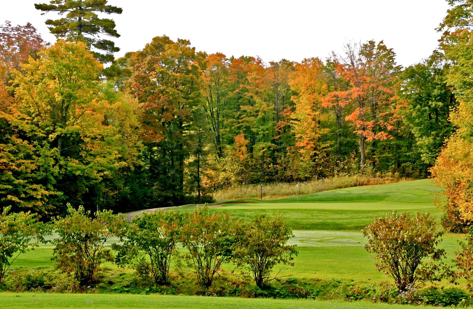 Mill Run Golf Club