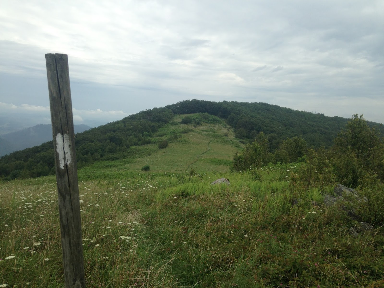 Blissful Hiking: Observations of a Summer Appalachian Trail Section ...