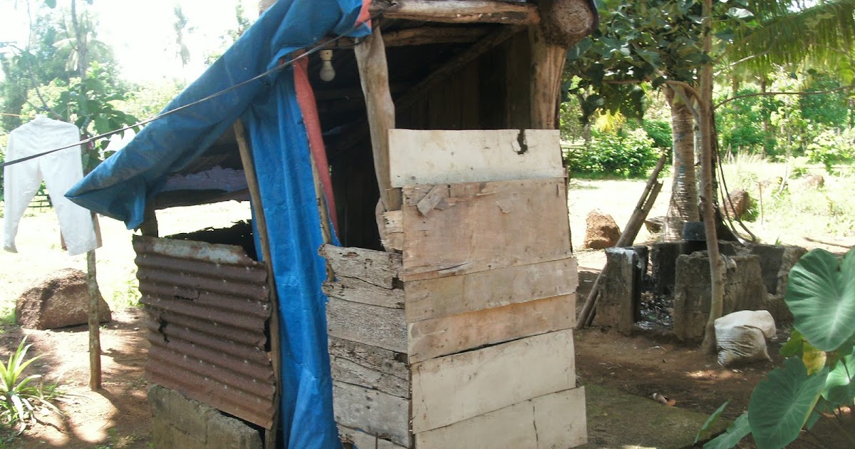 Mid-life Wanderings: Another Milestone - We can finally burn the Outhouse