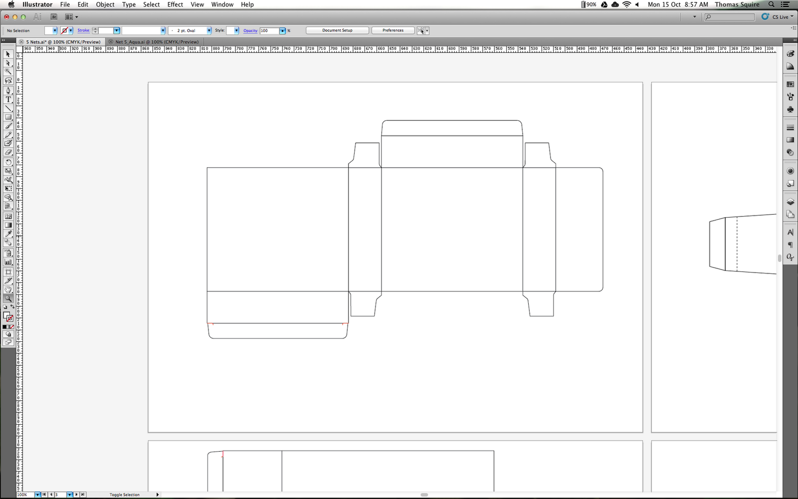 Branding to Packaging: Designing the Nets | Design Practice
