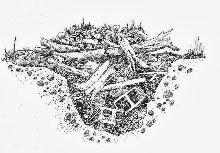 Biodiversity Gatwick: Hibernacularing