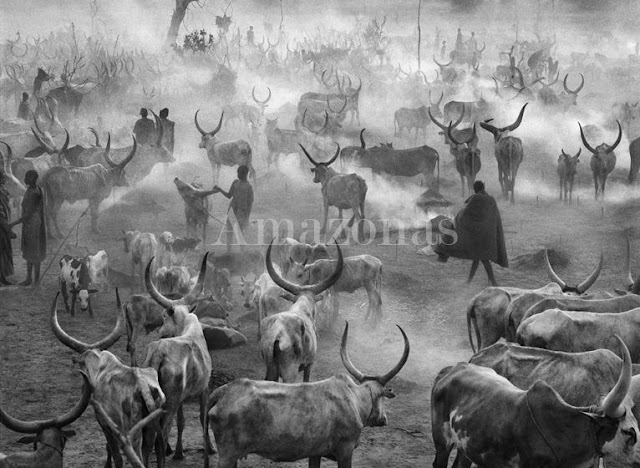 ANA DE LA SERNA: MIGRATIONS - SEBASTIAO SALGADO