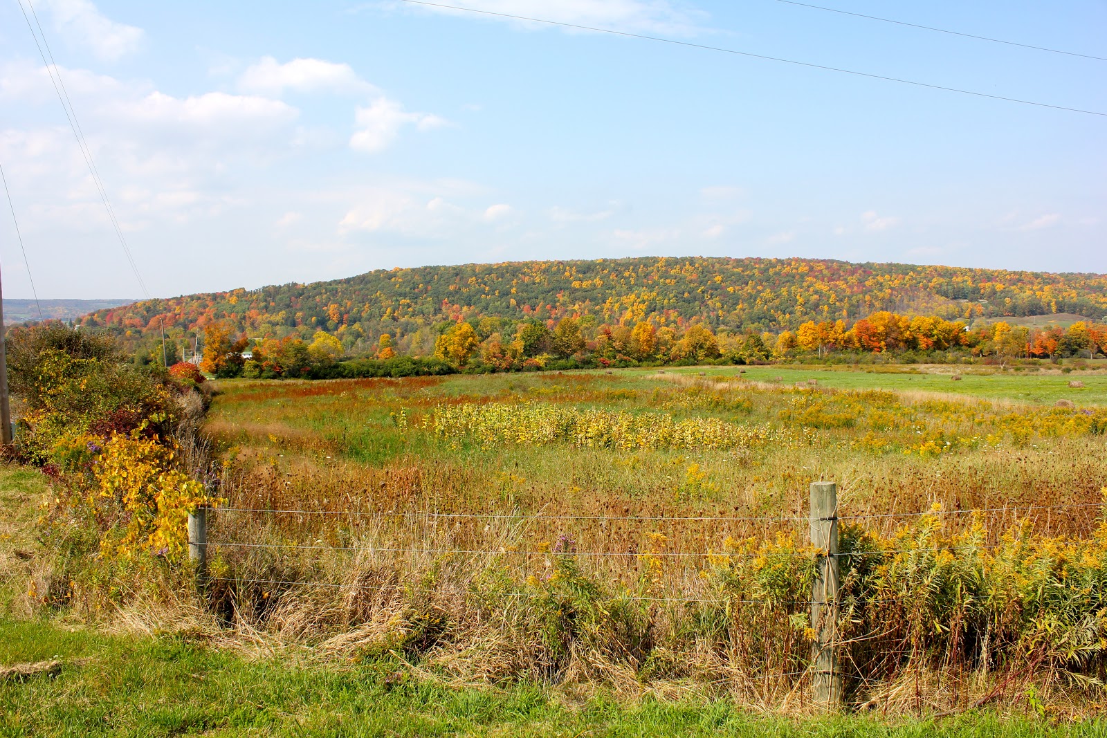 My Life On A Plate: New York's Finger Lakes... Fall Foliage Extraordinaire