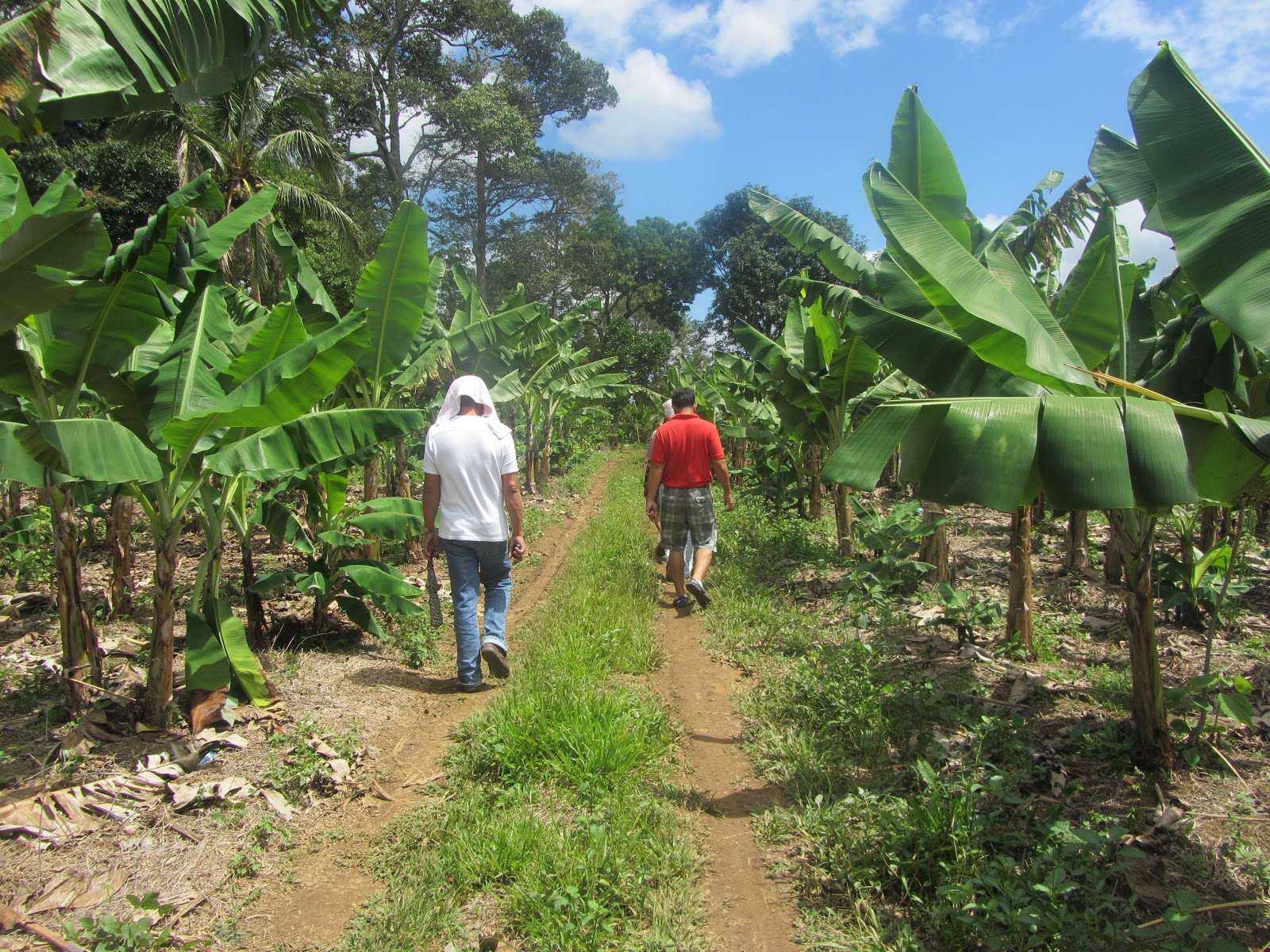 The Wannabe Lumad: A Day with the Diangan-Klata Tribe