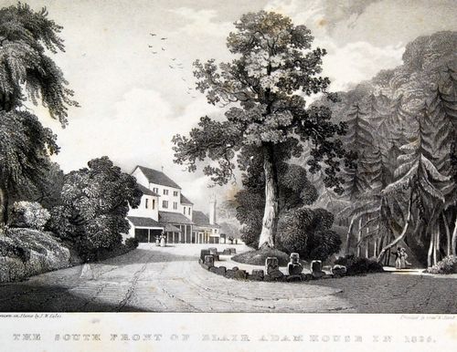 Landed families of Britain and Ireland: (26) Adam of Blair Adam