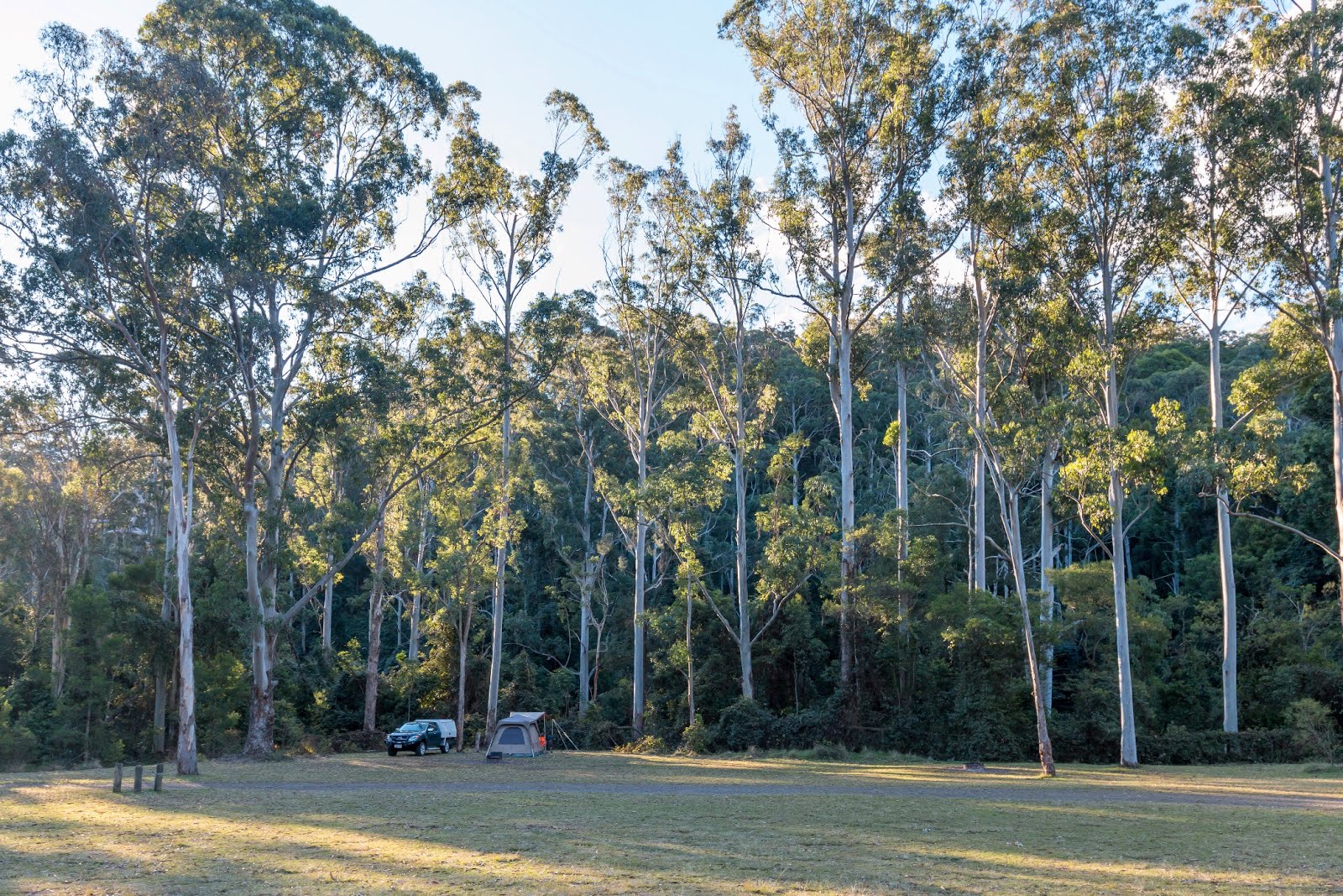 National Park Odyssey: Manna Gum Camping Area, Goomburra Section of ...