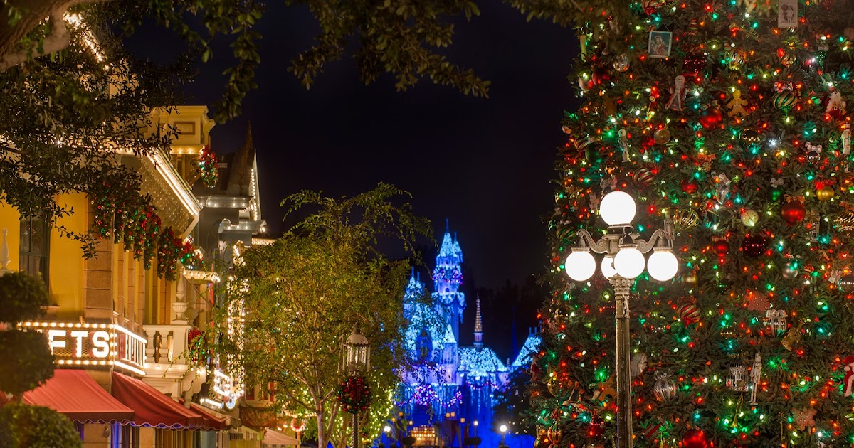 Winter Castle Through the Trees