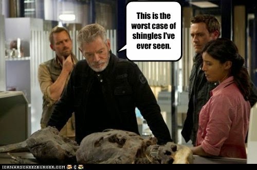 Robert's World: WICKED SHINGLES HUMOUR SENT