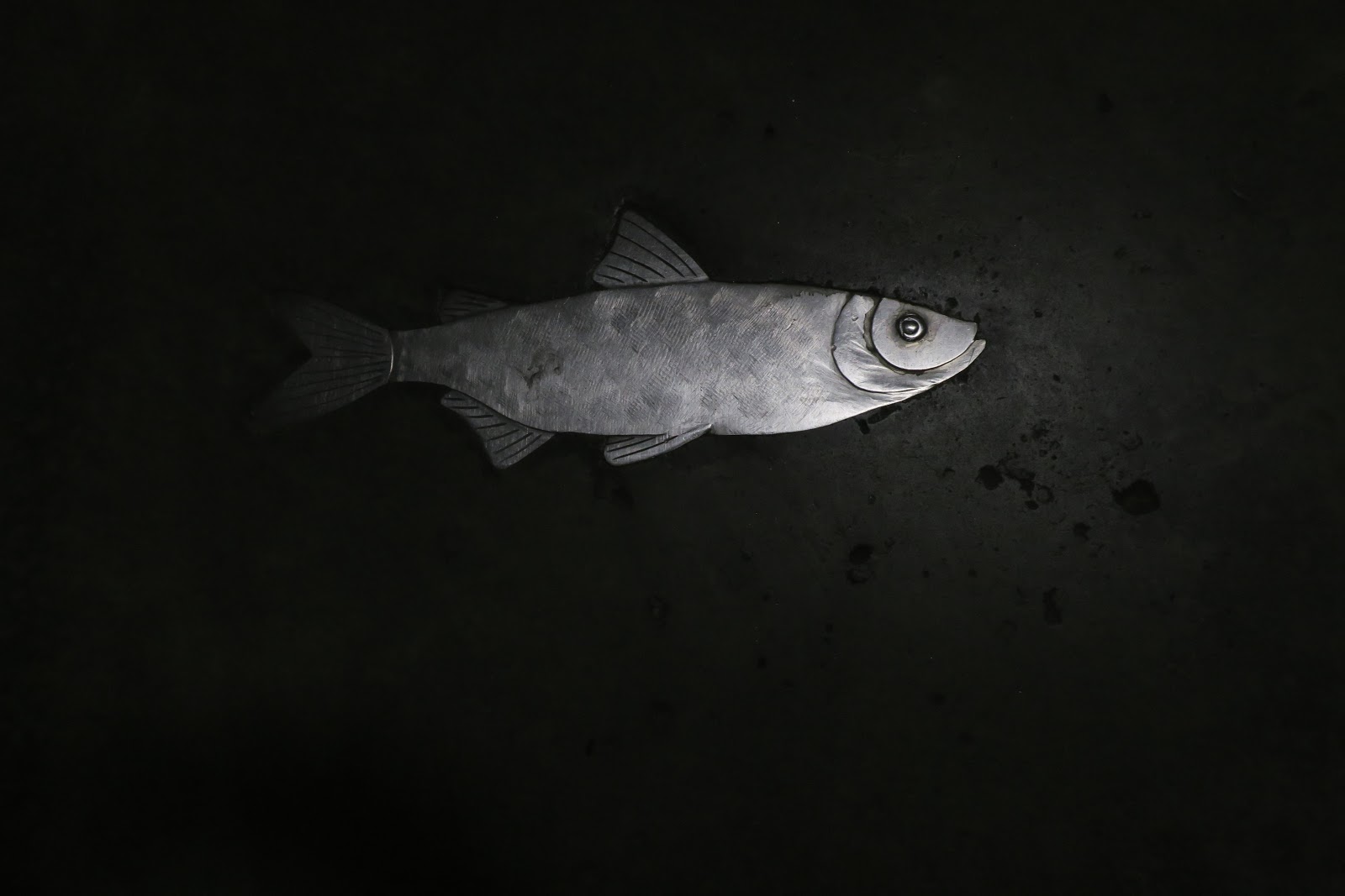 Living Rootless: Toronto: Fish on the Underground Path