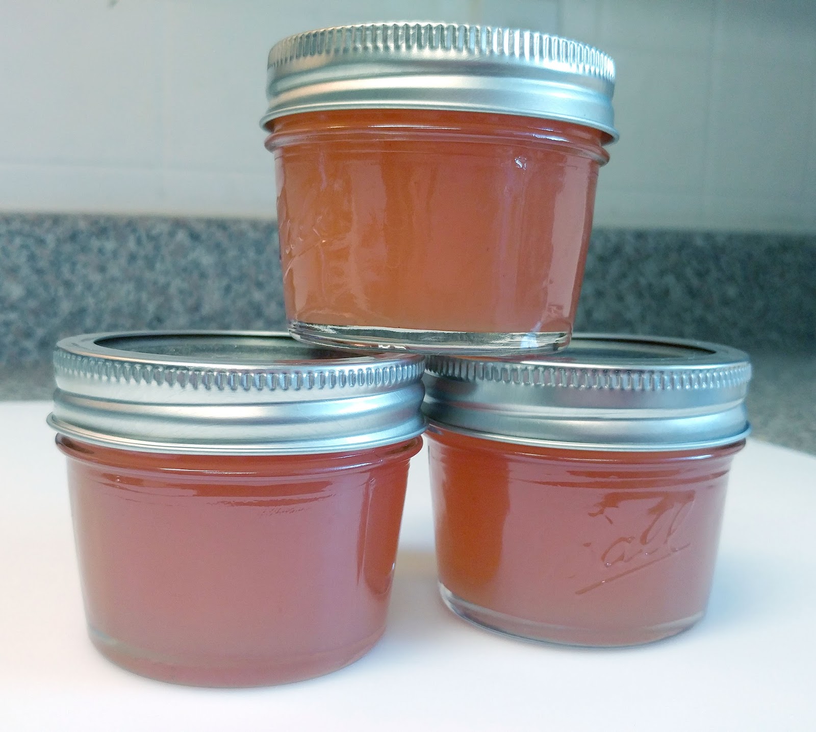 Culturally Confused: The Well-Seasoned Cook: White Currant Elderflower ...