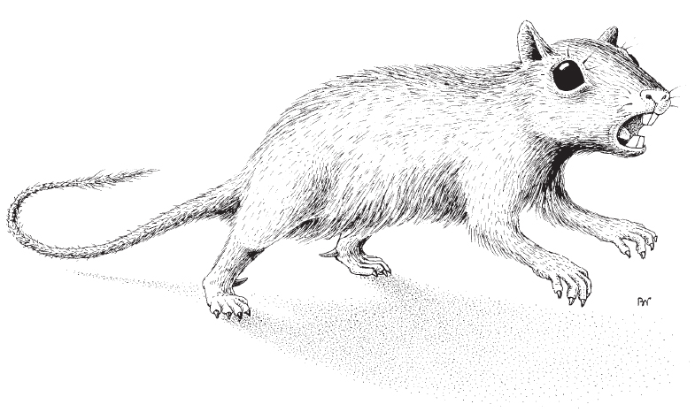 Skeptophilia: Myths, mammals, and extinctions