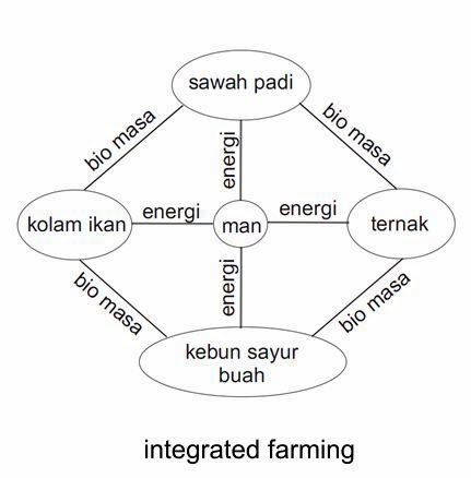 Budidaya Padi Organik dengan Metode SRI: Sistem Pertanian Terpadu ...