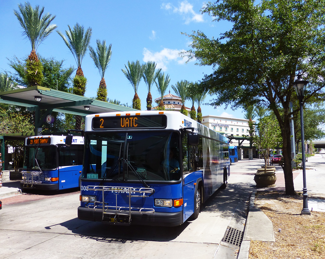 In Transit - The Official HART Transit Blog: Route of the Week: Route 2