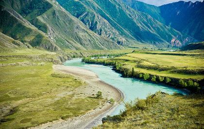 Plant Life: Asian Flora