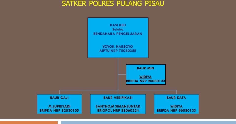 SI KEU POLRES PULANG PISAU: STRUKTUR ORGANISASI