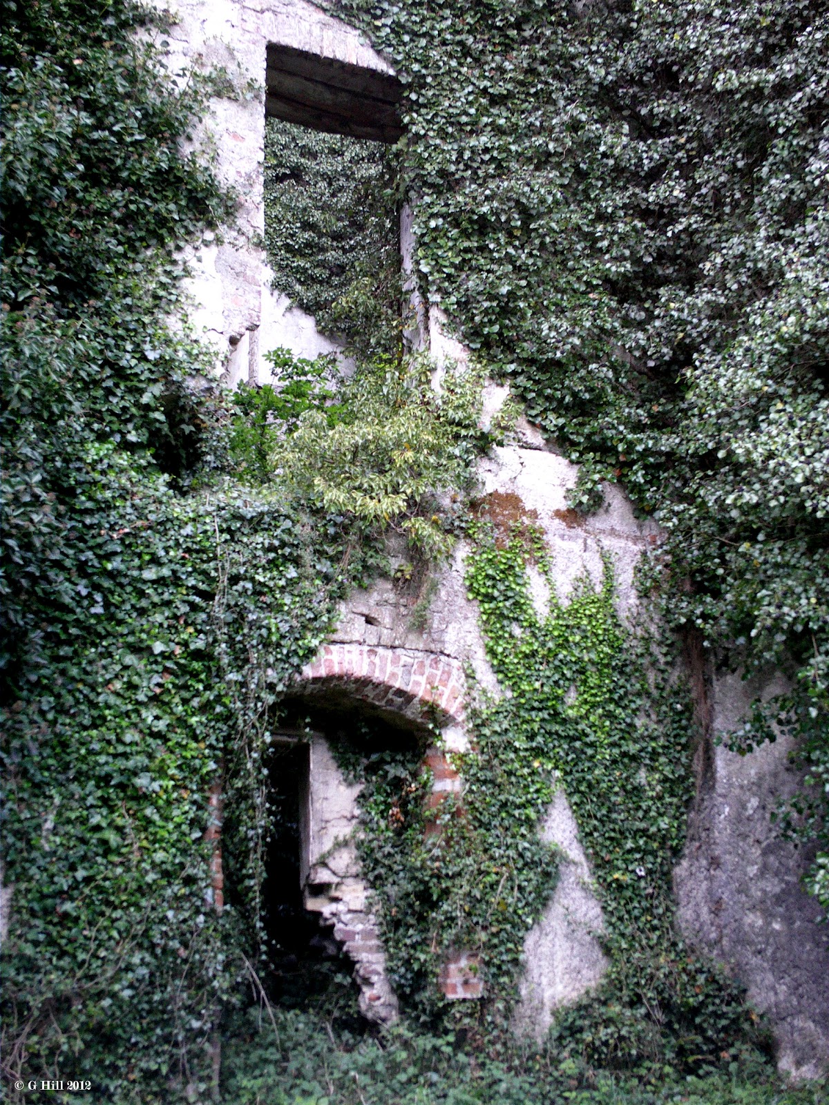 Ireland In Ruins: Donadea Castle Co Kildare