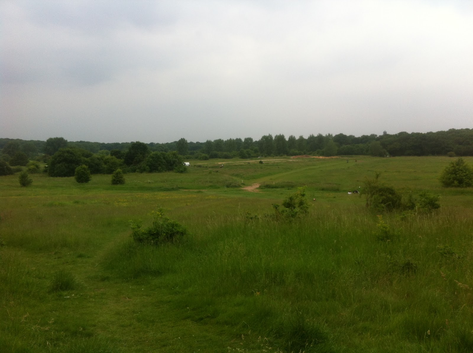 JHSked: Cool Shiny Stuff, and ye old Archeology course, and Chingford ...